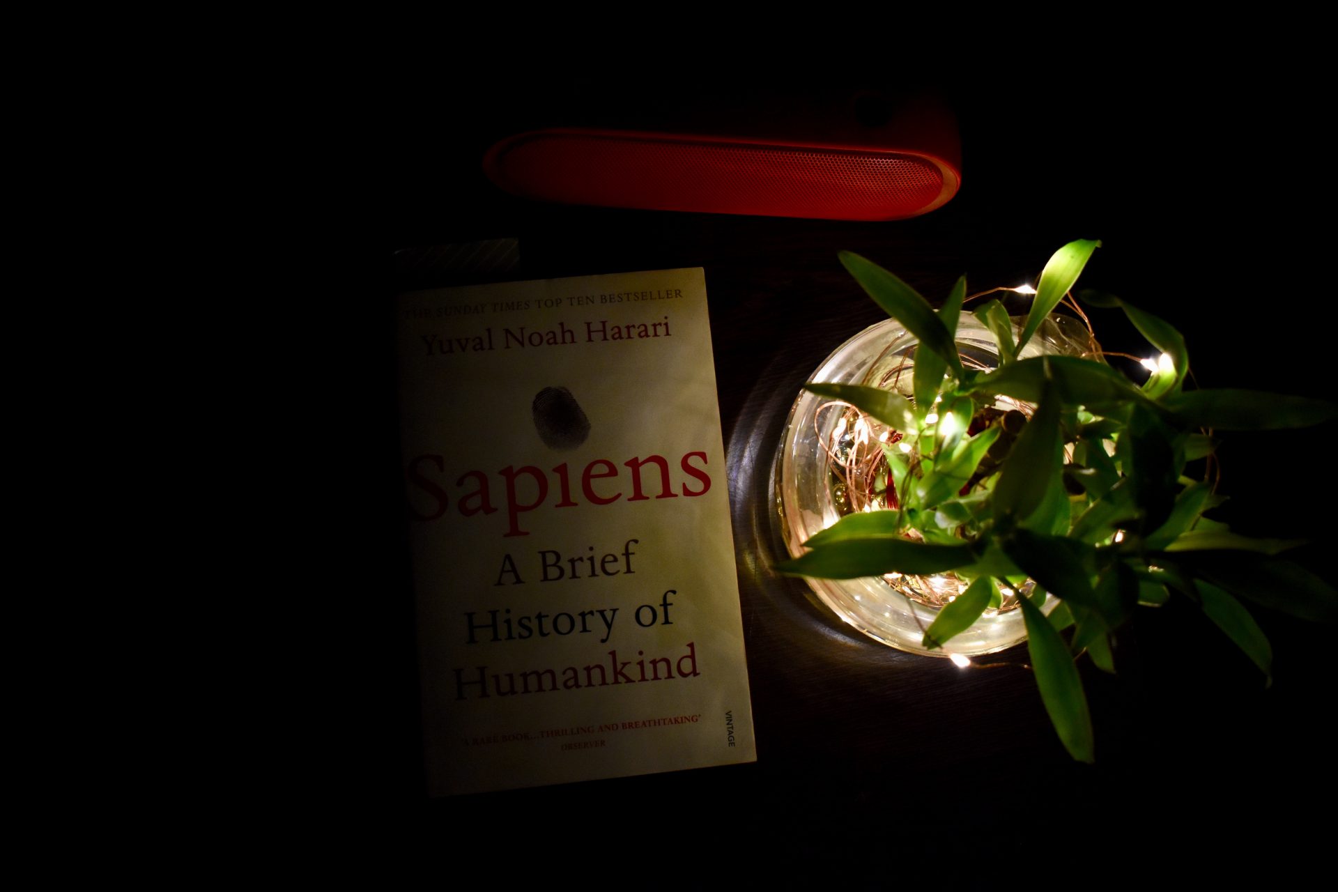 Sapiens – The Writer Muses – Books